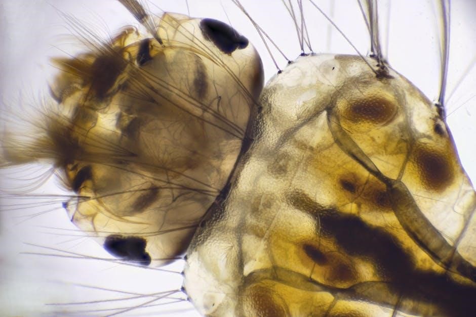 Cellular Biology PDF: Your Quick & Easy Guide!