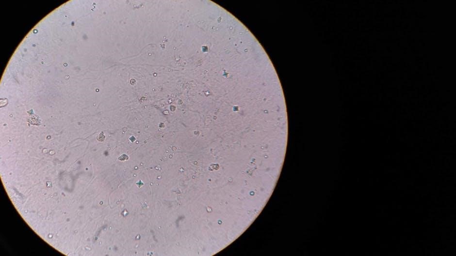 Cellular Biology PDF: Your Quick & Easy Guide!